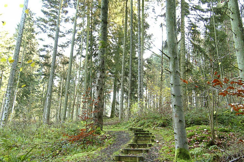 Le site de la Haute Chevauchée - Office de tourisme intercommunal du ...