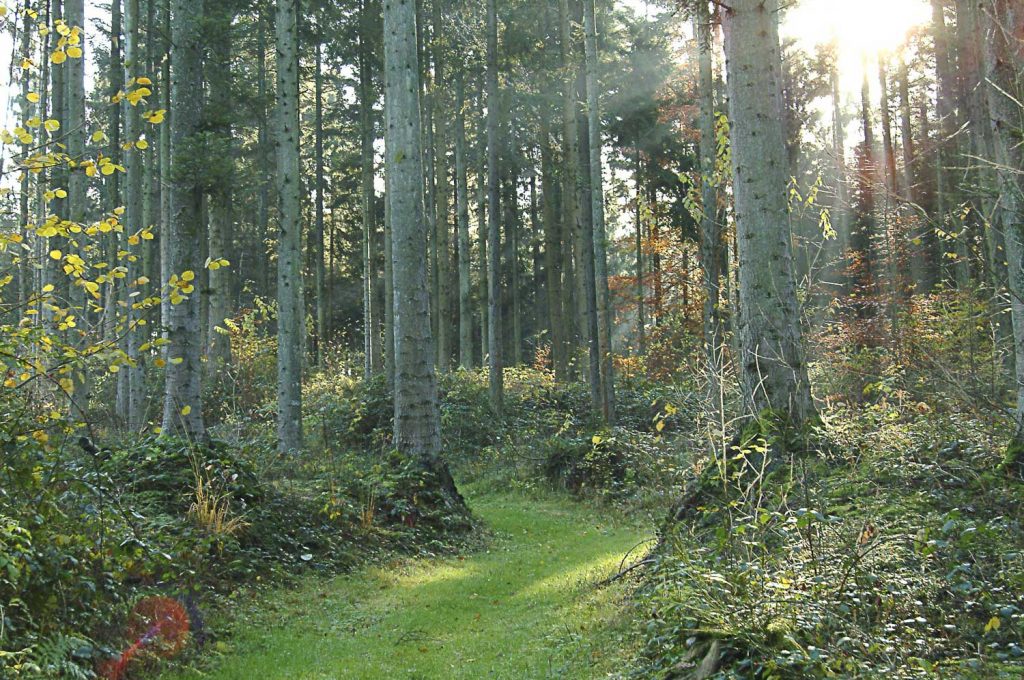 Le site de la Haute Chevauchée - Office de tourisme intercommunal du ...